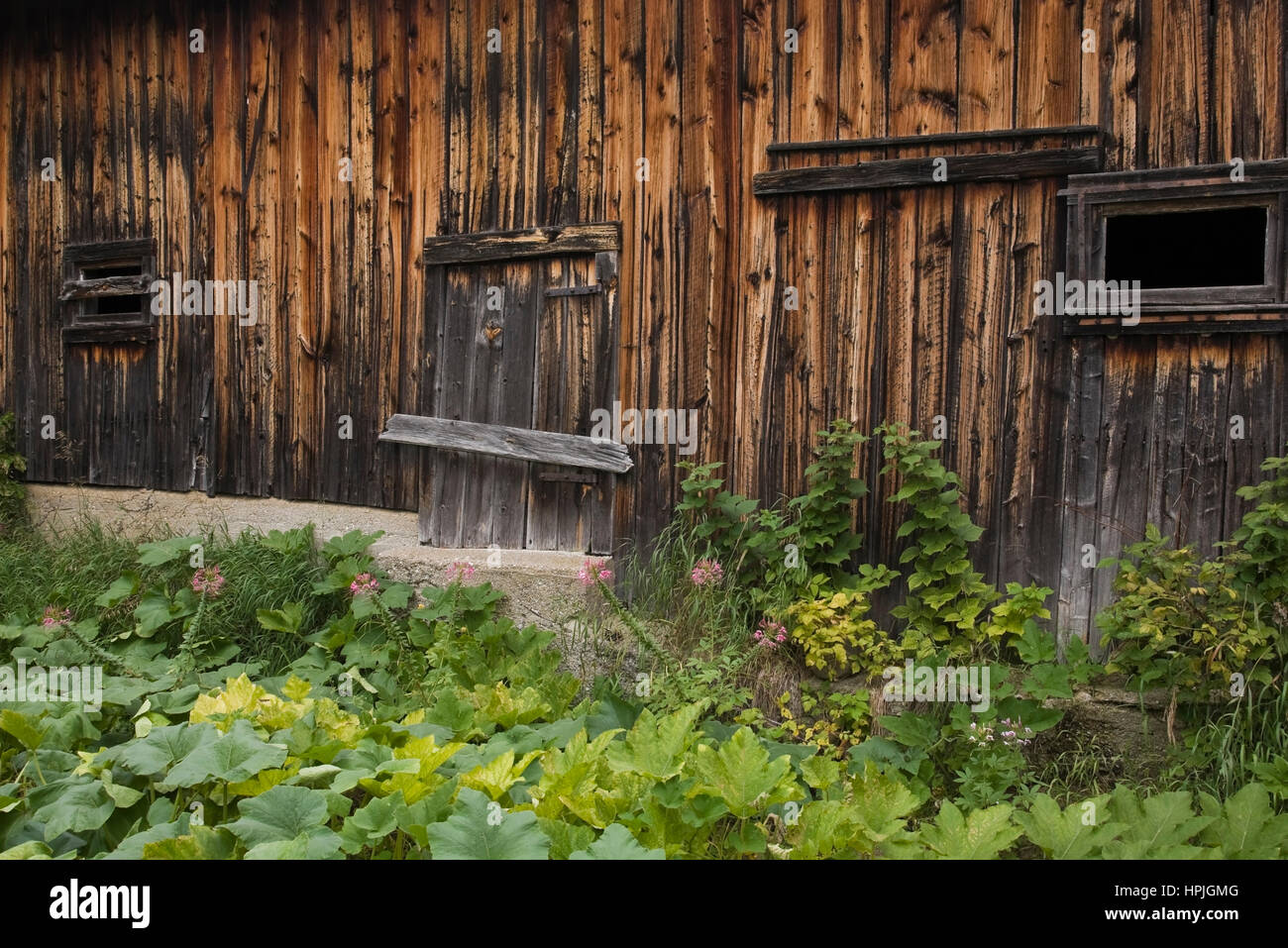 Alte hölzerne Scheune Fassade mit Türen Stockfotografie - Alamy