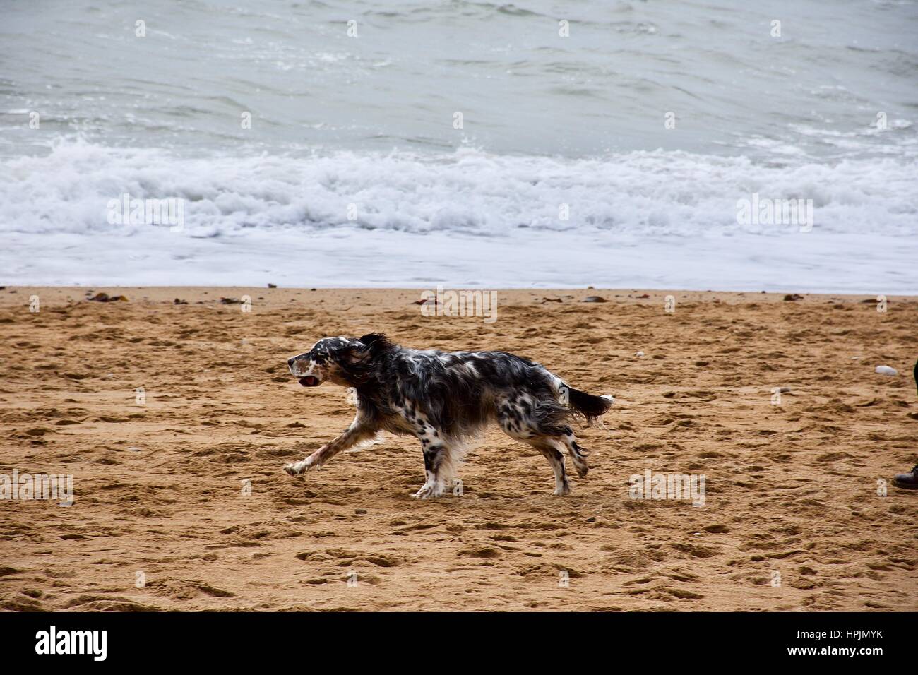 Apport apport -Fotos und -Bildmaterial in hoher Auflösung – Alamy