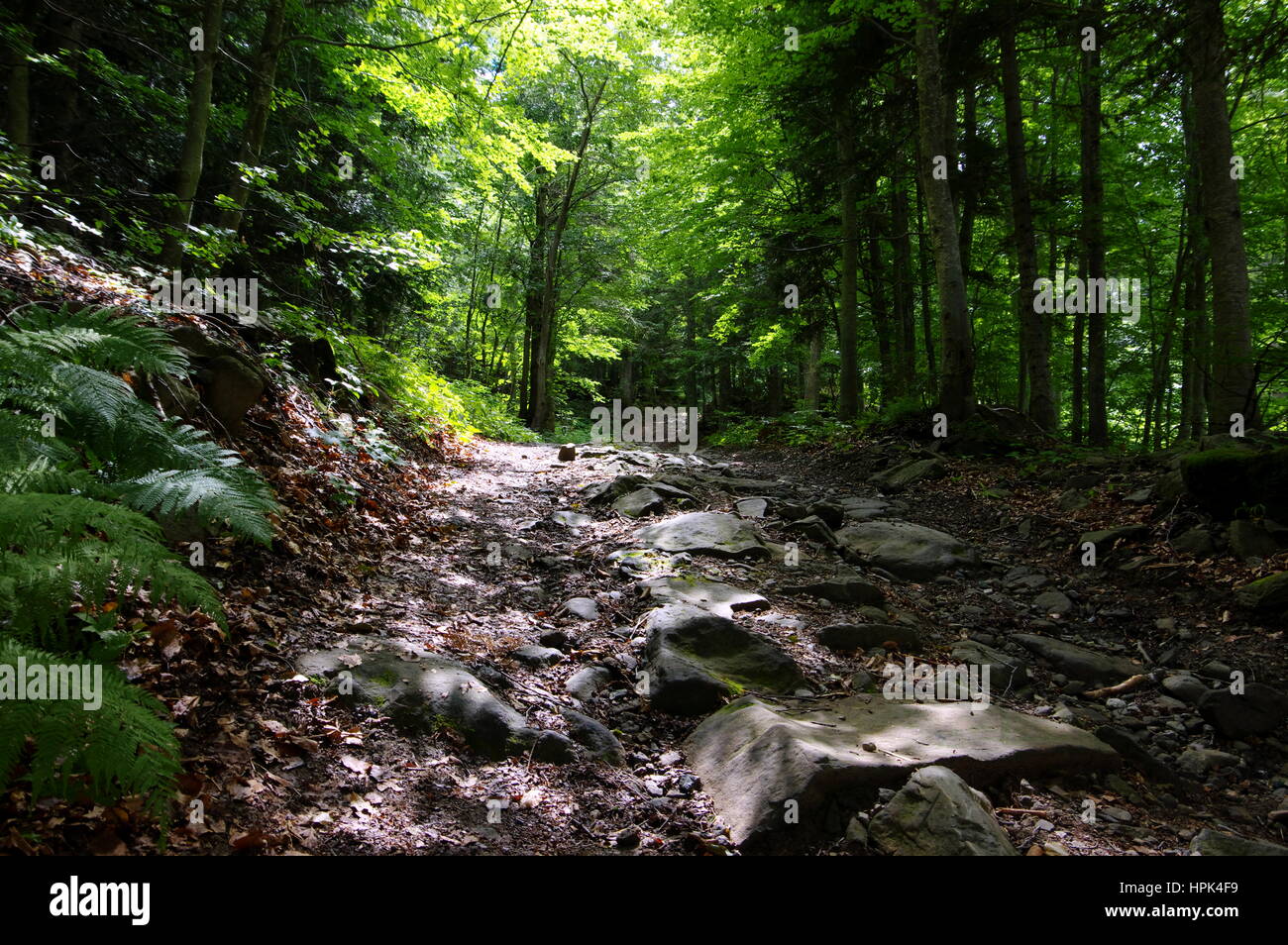 Steiniger steigweg -Fotos und -Bildmaterial in hoher Auflösung – Alamy
