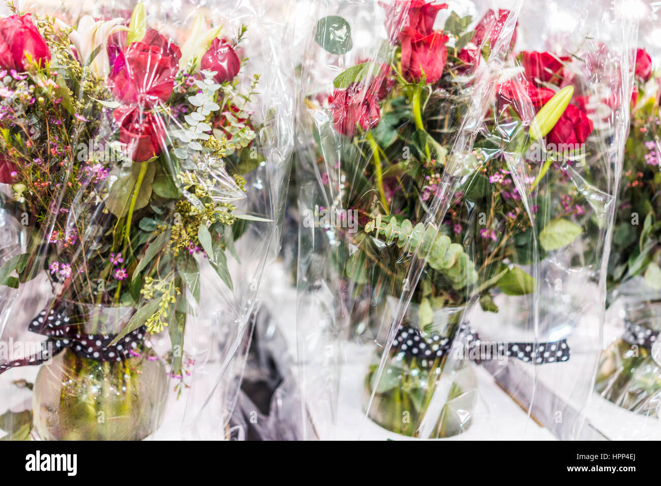 Nahaufnahme der viele rote Rosen Sträuße in Vasen in Plastikfolie ...