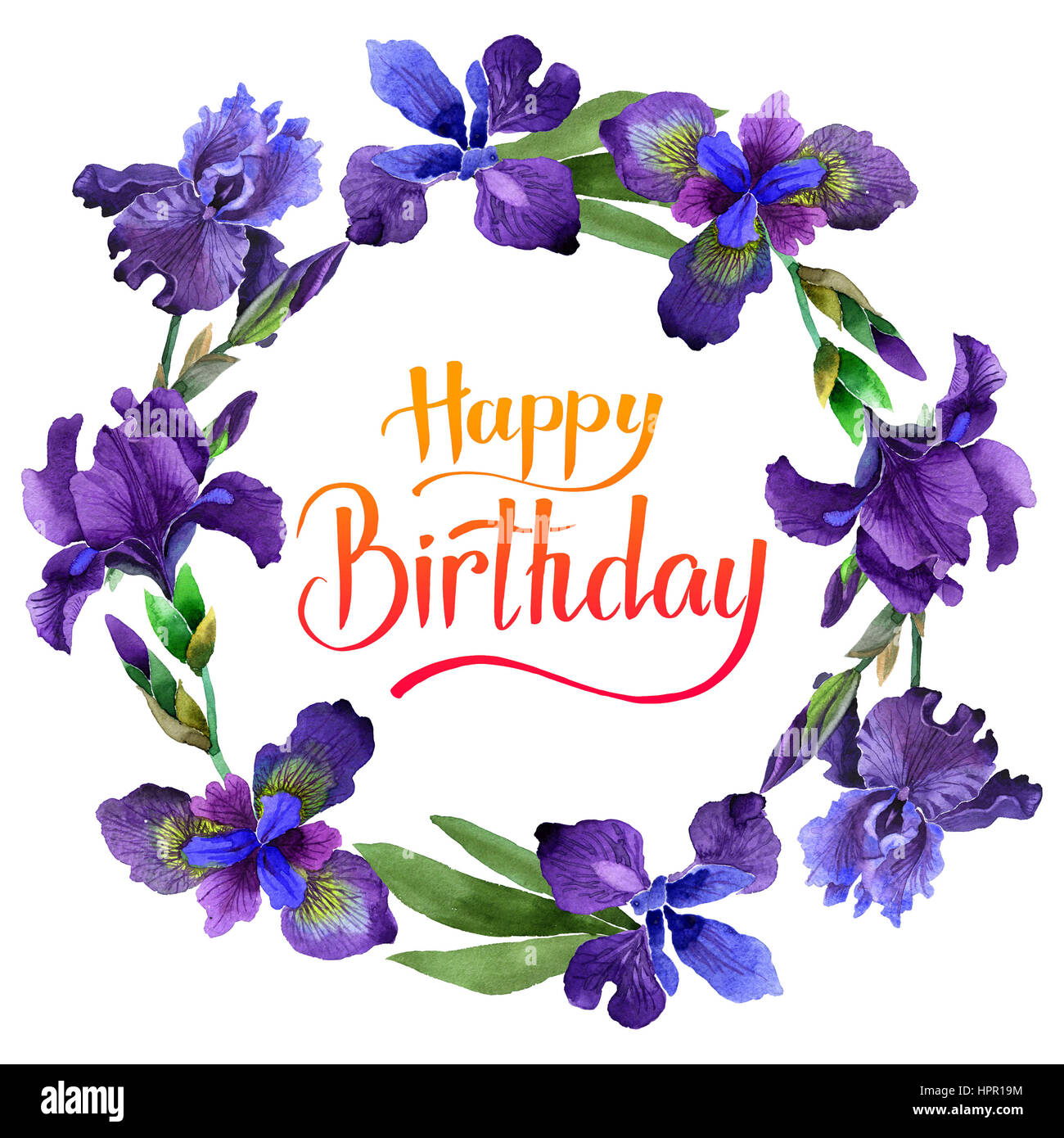 Iris Happy Birthday Stockfotos & Iris Happy Birthday Bilder - Alamy