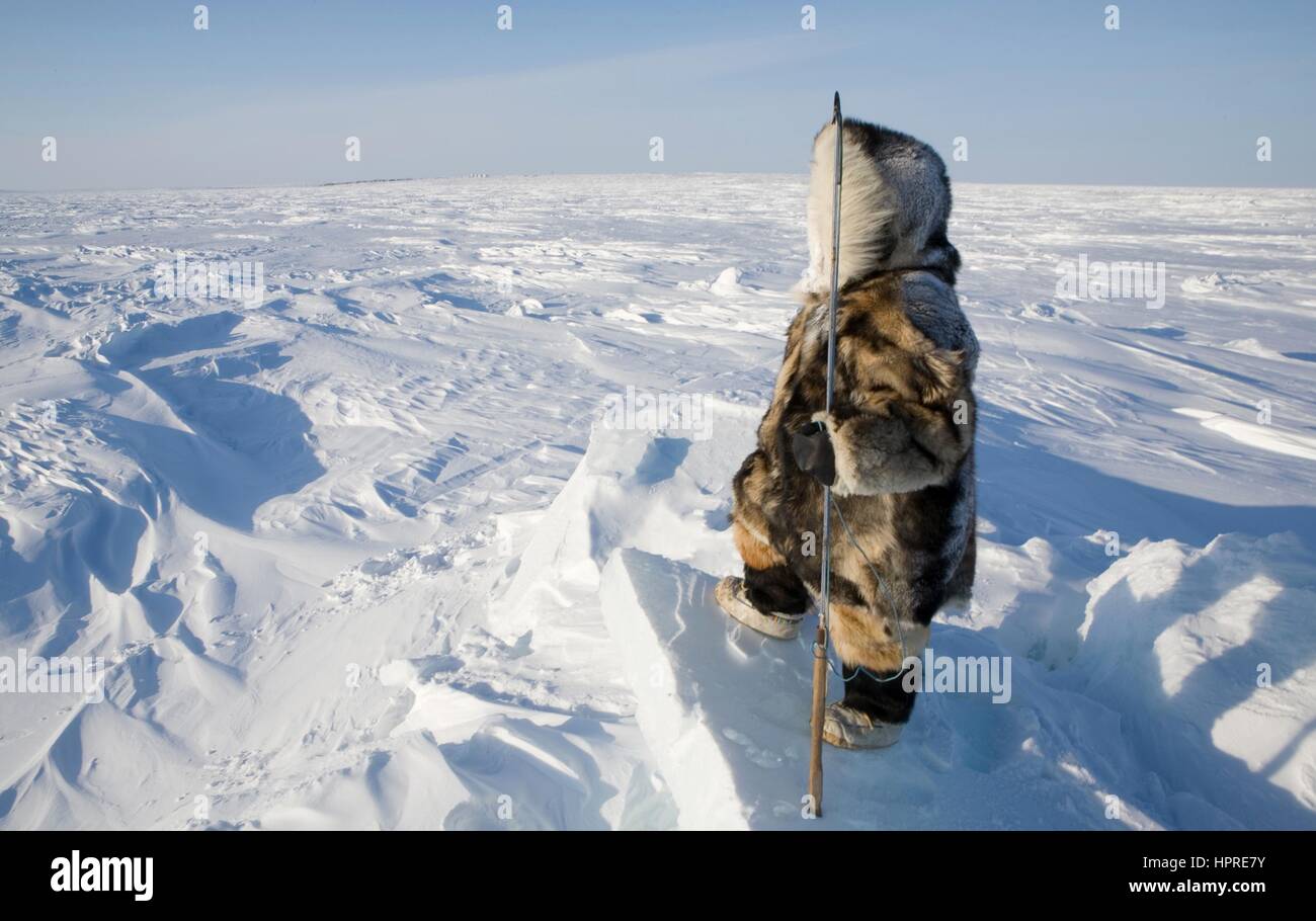Inuit hunter and spear -Fotos und -Bildmaterial in hoher Auflösung – Alamy