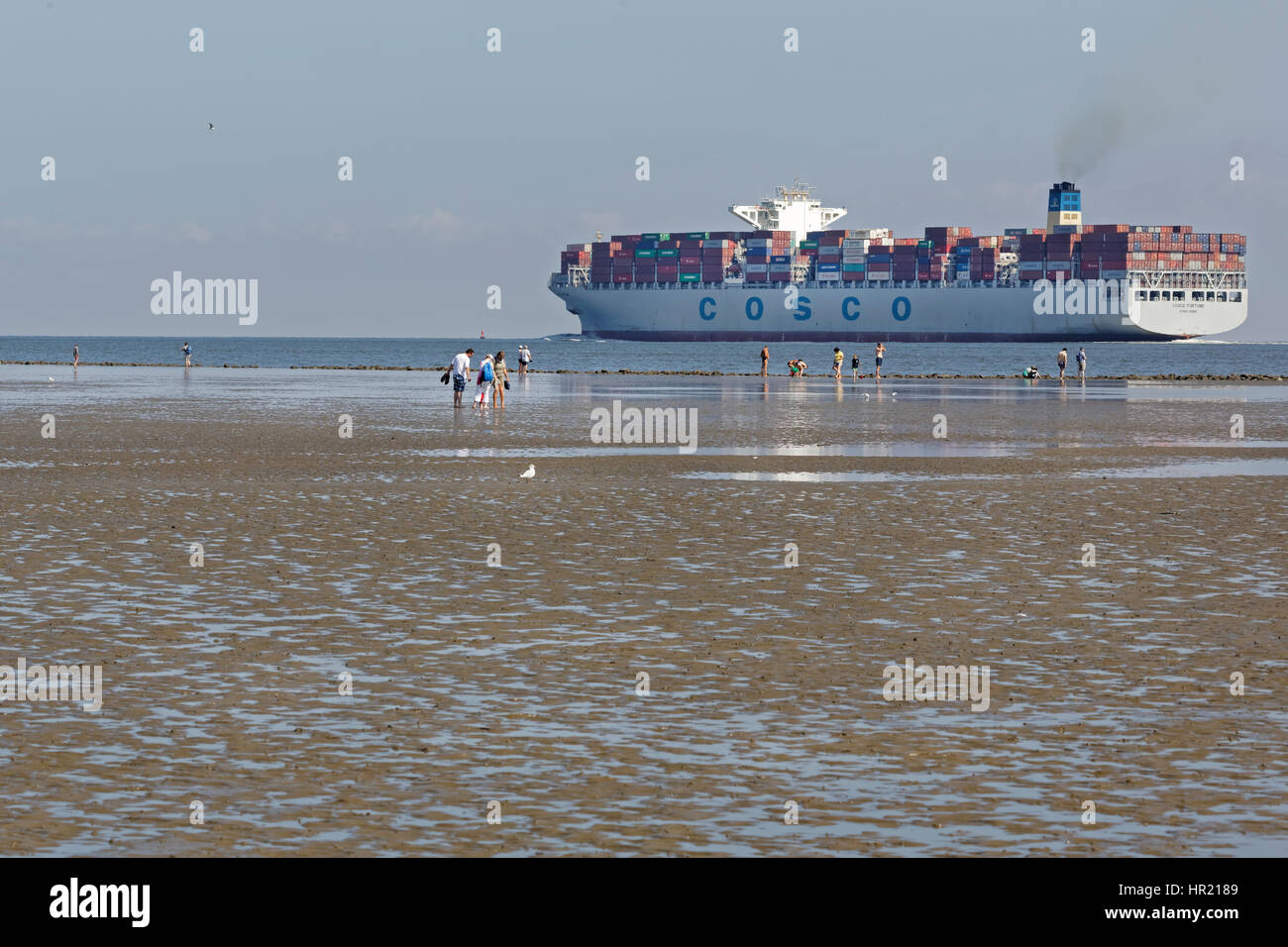 Wattenmeer in der deutschen nordsee -Fotos und -Bildmaterial in hoher ...