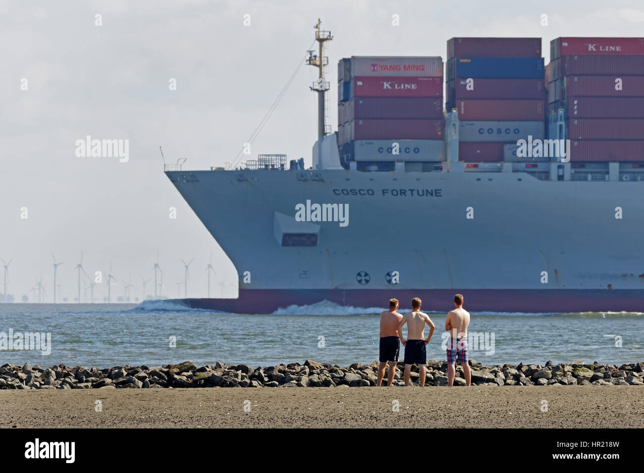 Containerschiff im Wattenmeer, Cuxhaven, Niedersachsen, Deutschland ...