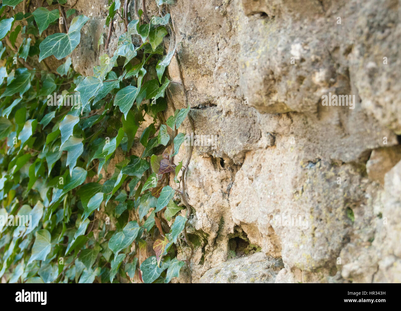 Der griff auf den stein -Fotos und -Bildmaterial in hoher Auflösung – Alamy