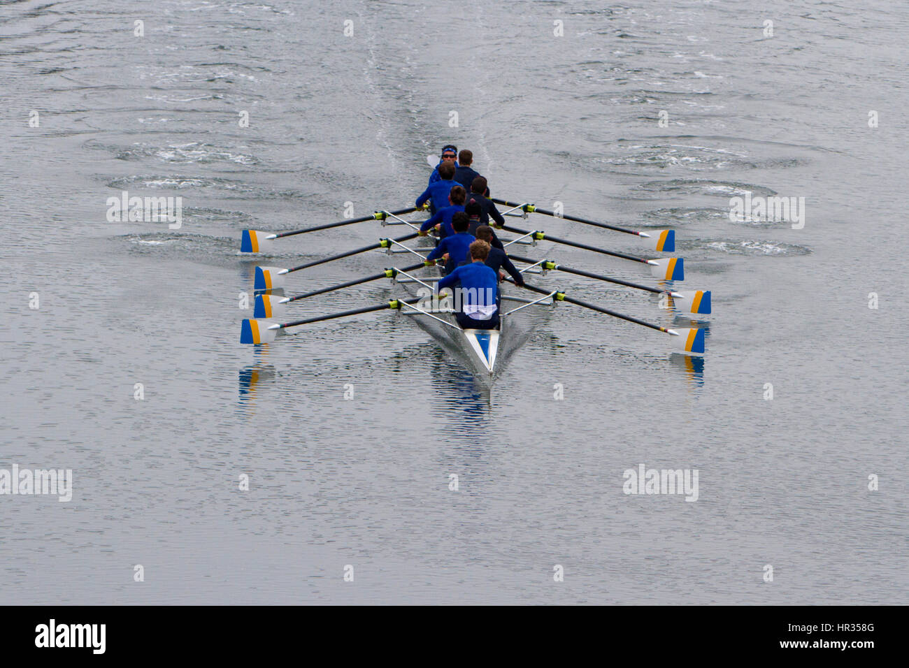Rowing eight -Fotos und -Bildmaterial in hoher Auflösung – Alamy