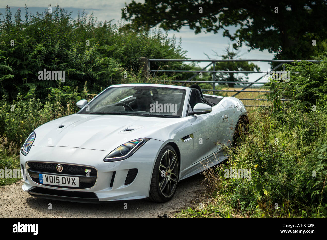 Jaguar F Type Weiß
