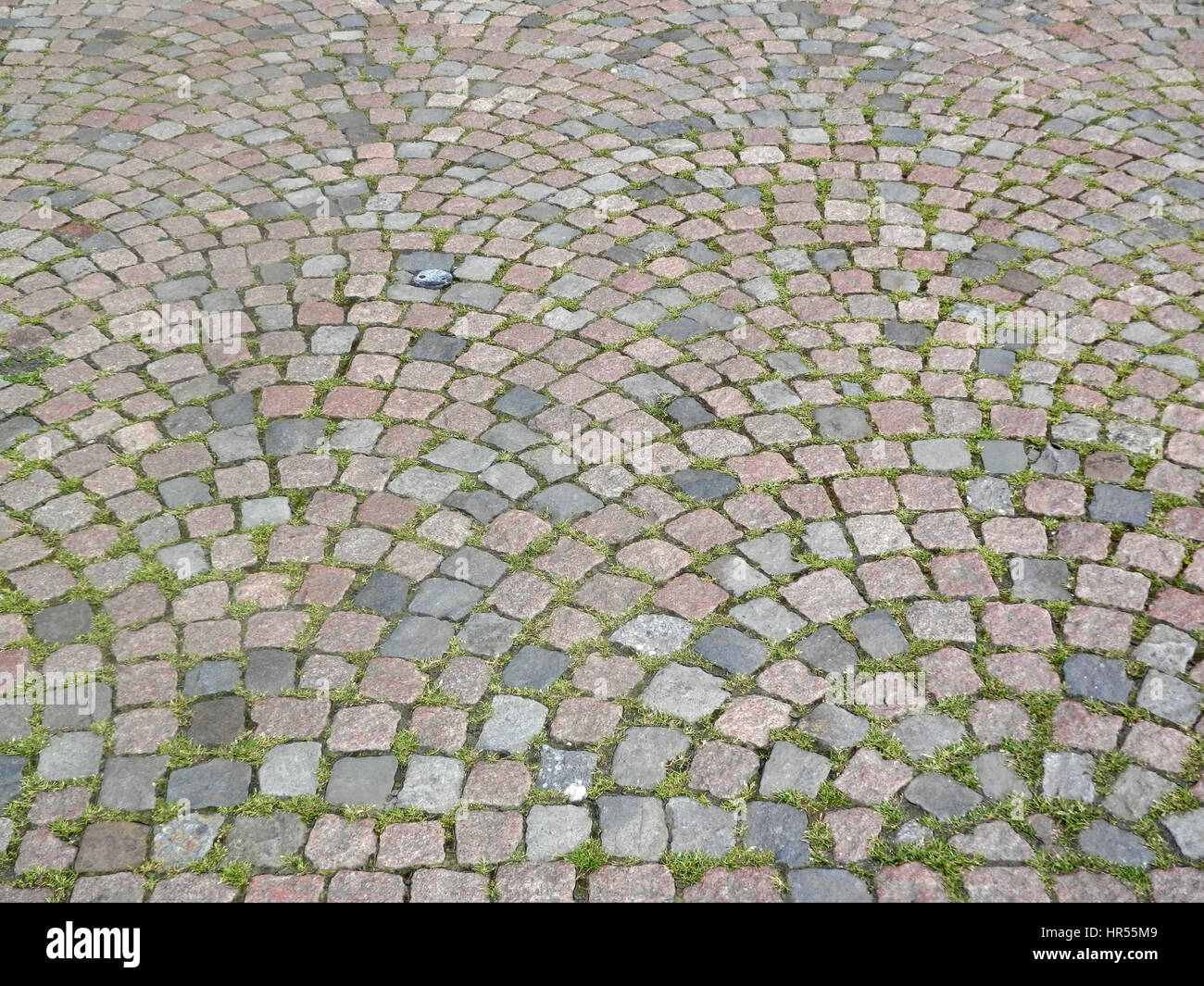 Coloured paving stones -Fotos und -Bildmaterial in hoher Auflösung – Alamy