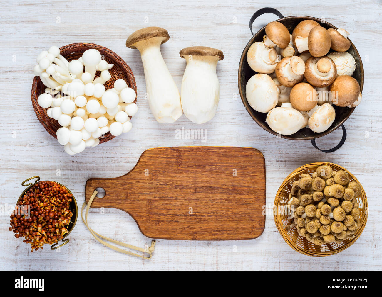 Verschiedene pilzsorten -Fotos und -Bildmaterial in hoher Auflösung – Alamy