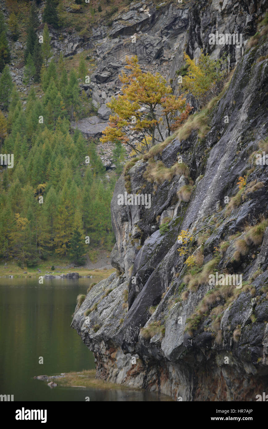 Ossola remota -Fotos und -Bildmaterial in hoher Auflösung – Alamy