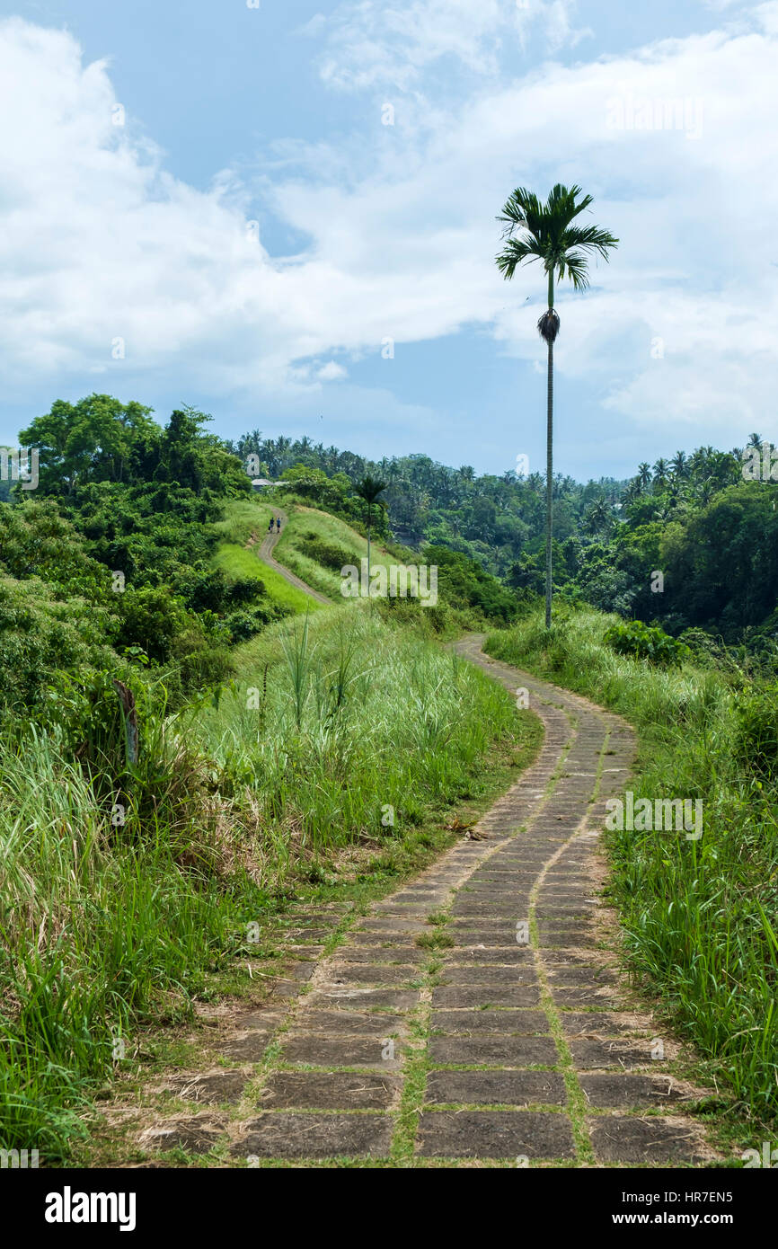 Zwei entfernte menschliche Figuren und eine Palme in der Campuhan Grat ...