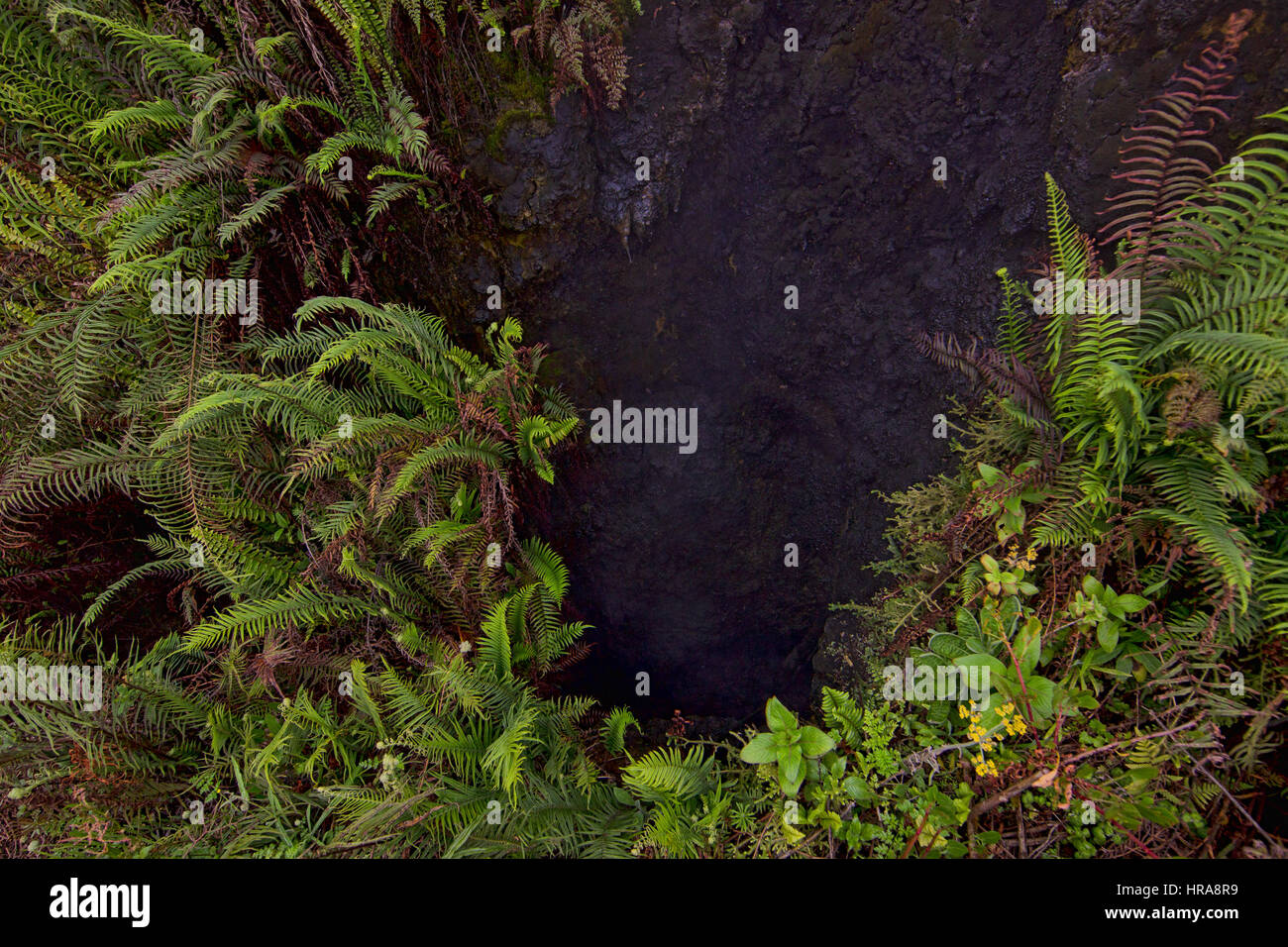 Climbing Mount Nyiragongo im Virunga Nationalpark, ist demokratische ...