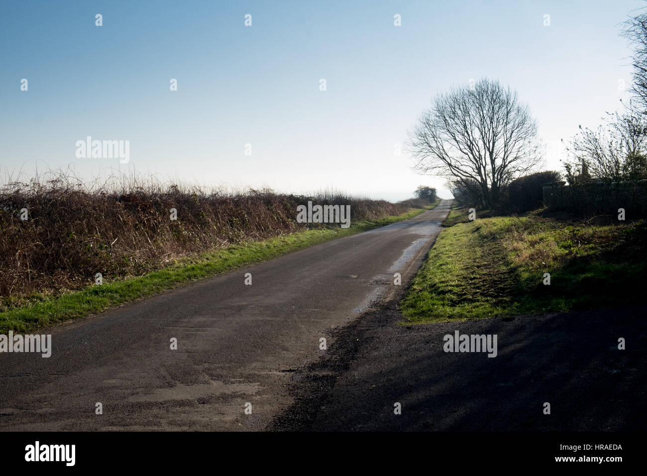 Bramley moor -Fotos und -Bildmaterial in hoher Auflösung – Alamy