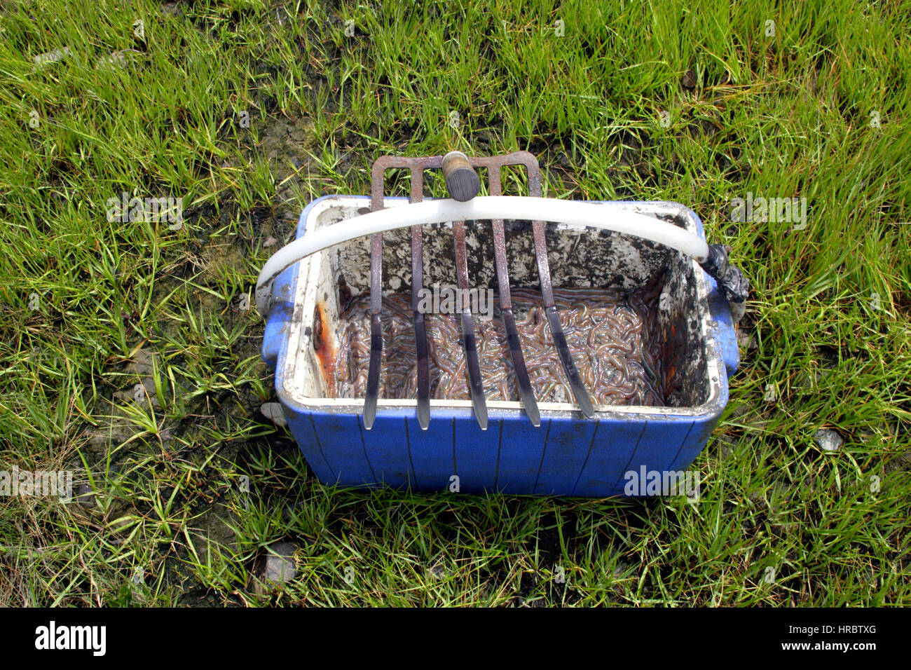 Arbeiten bei ebbe -Fotos und -Bildmaterial in hoher Auflösung – Alamy