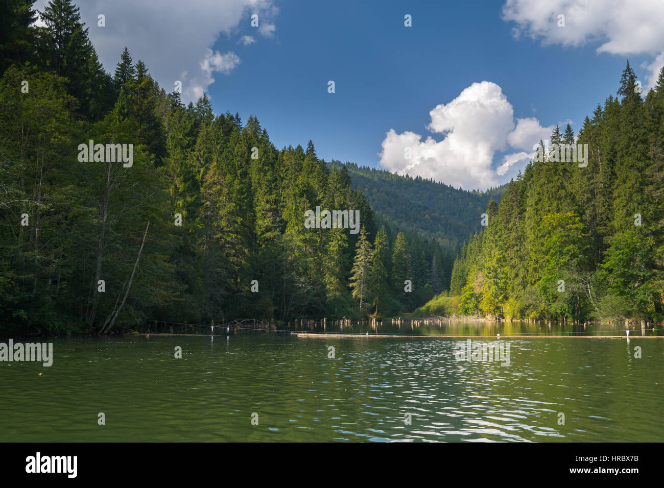 Roter See (Lacul Rosu), östlichen Karpaten Berge, Region Moldau ...