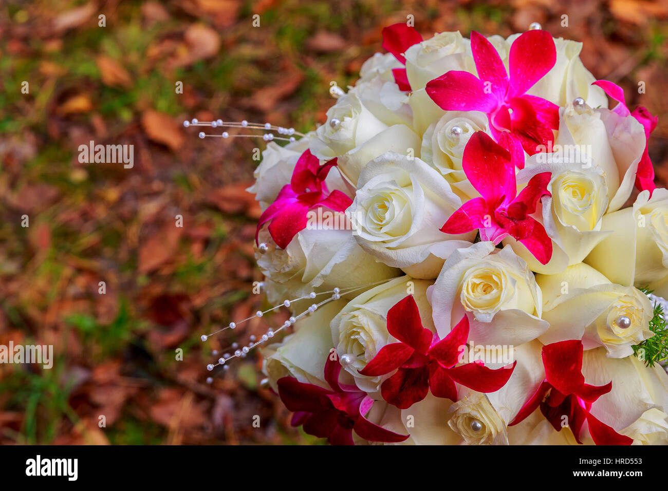 Karte mit blumenboquet Stockfotos und -bilder Kaufen - Alamy
