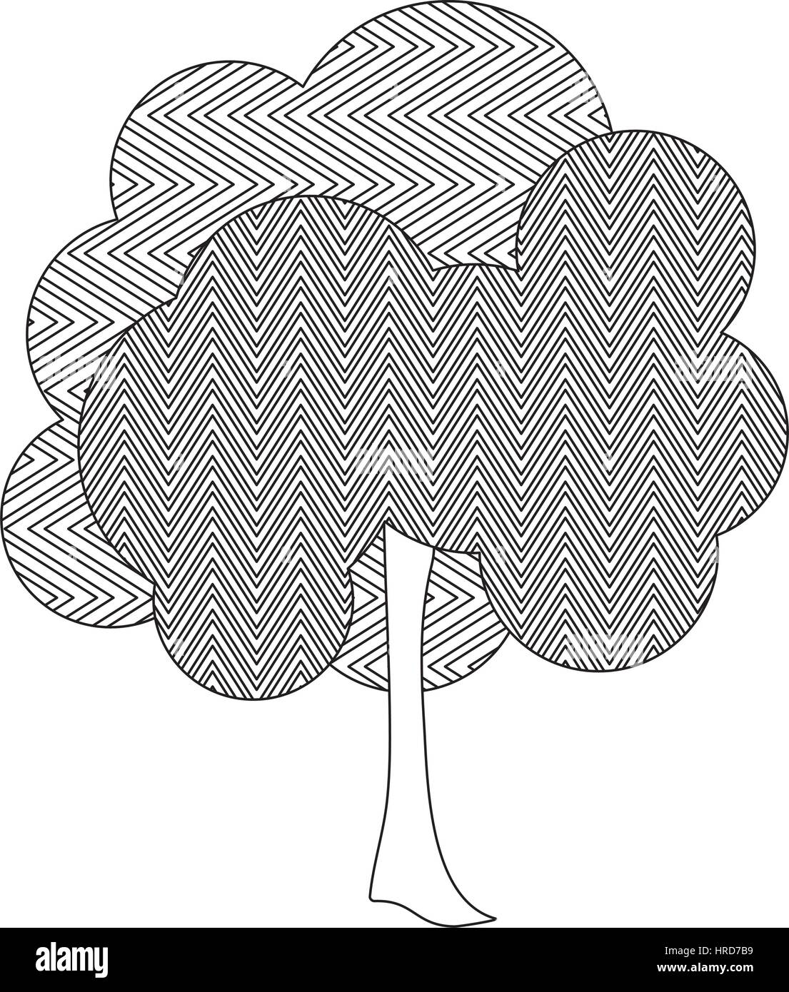 Zig Zag Plant Stockfotos und -bilder Kaufen - Alamy
