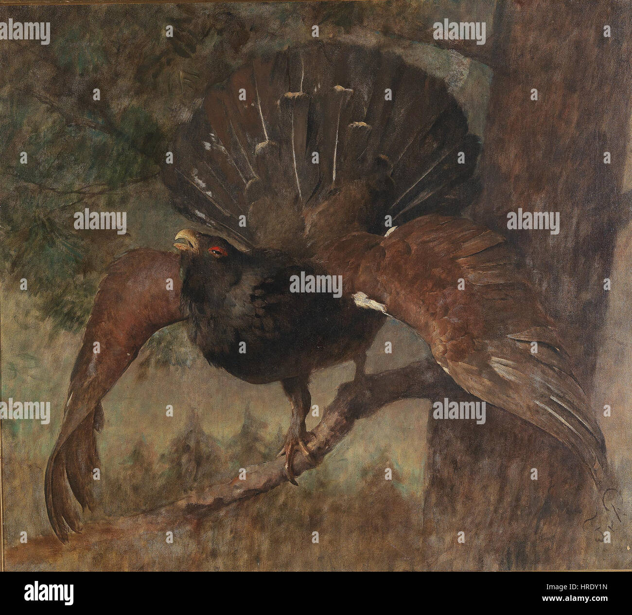 Franz xaver von pausinger -Fotos und -Bildmaterial in hoher Auflösung ...