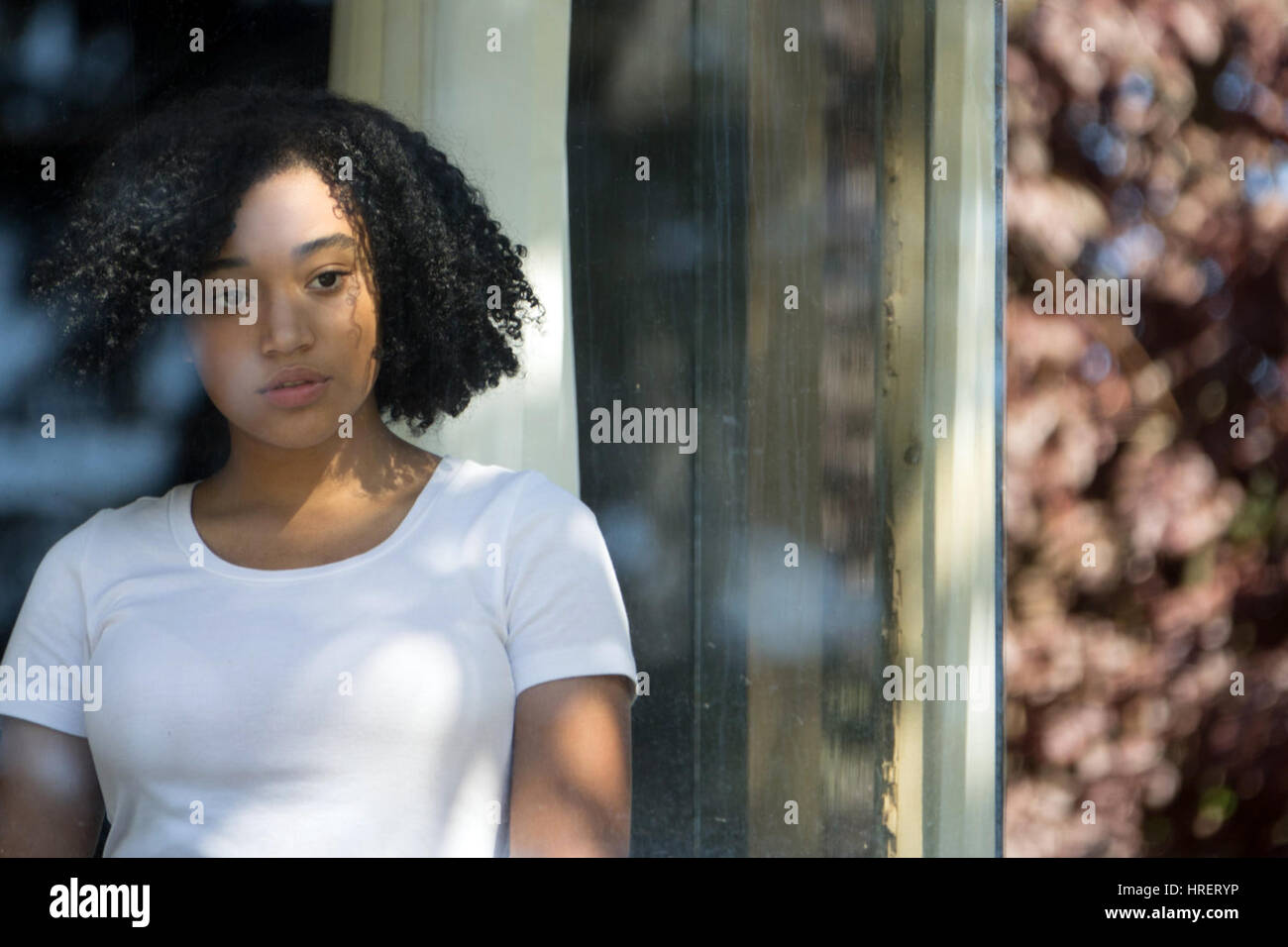 Stella robinson -Fotos und -Bildmaterial in hoher Auflösung – Alamy