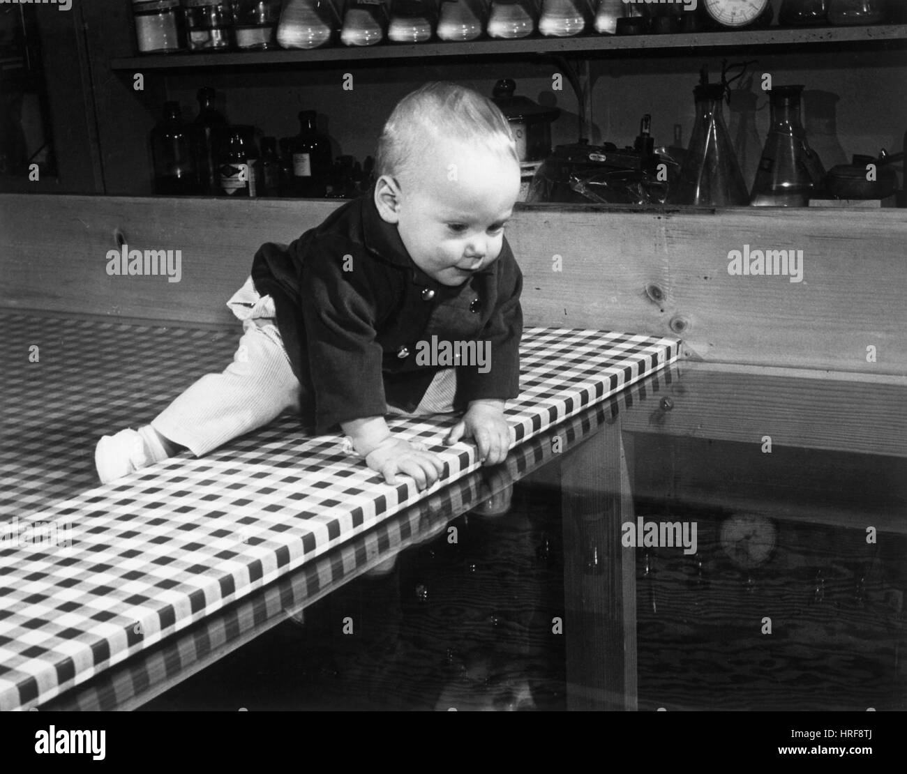 Visual cliff experiment -Fotos und -Bildmaterial in hoher Auflösung – Alamy