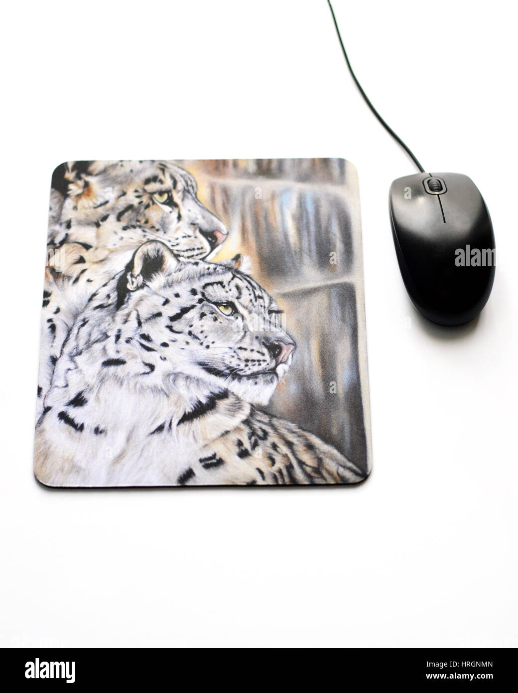 Computer maus datenverarbeitung -Fotos und -Bildmaterial in hoher ...