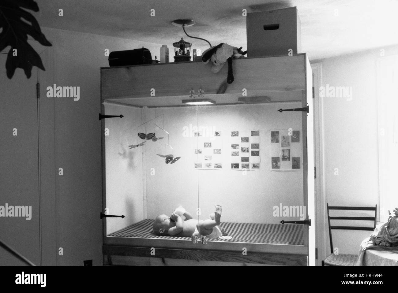 B f skinner -Fotos und -Bildmaterial in hoher Auflösung – Alamy