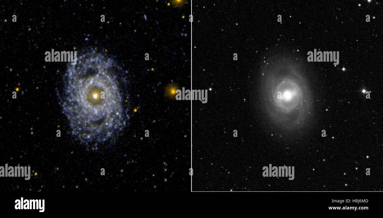 Schmutziger 95 -Fotos und -Bildmaterial in hoher Auflösung – Alamy