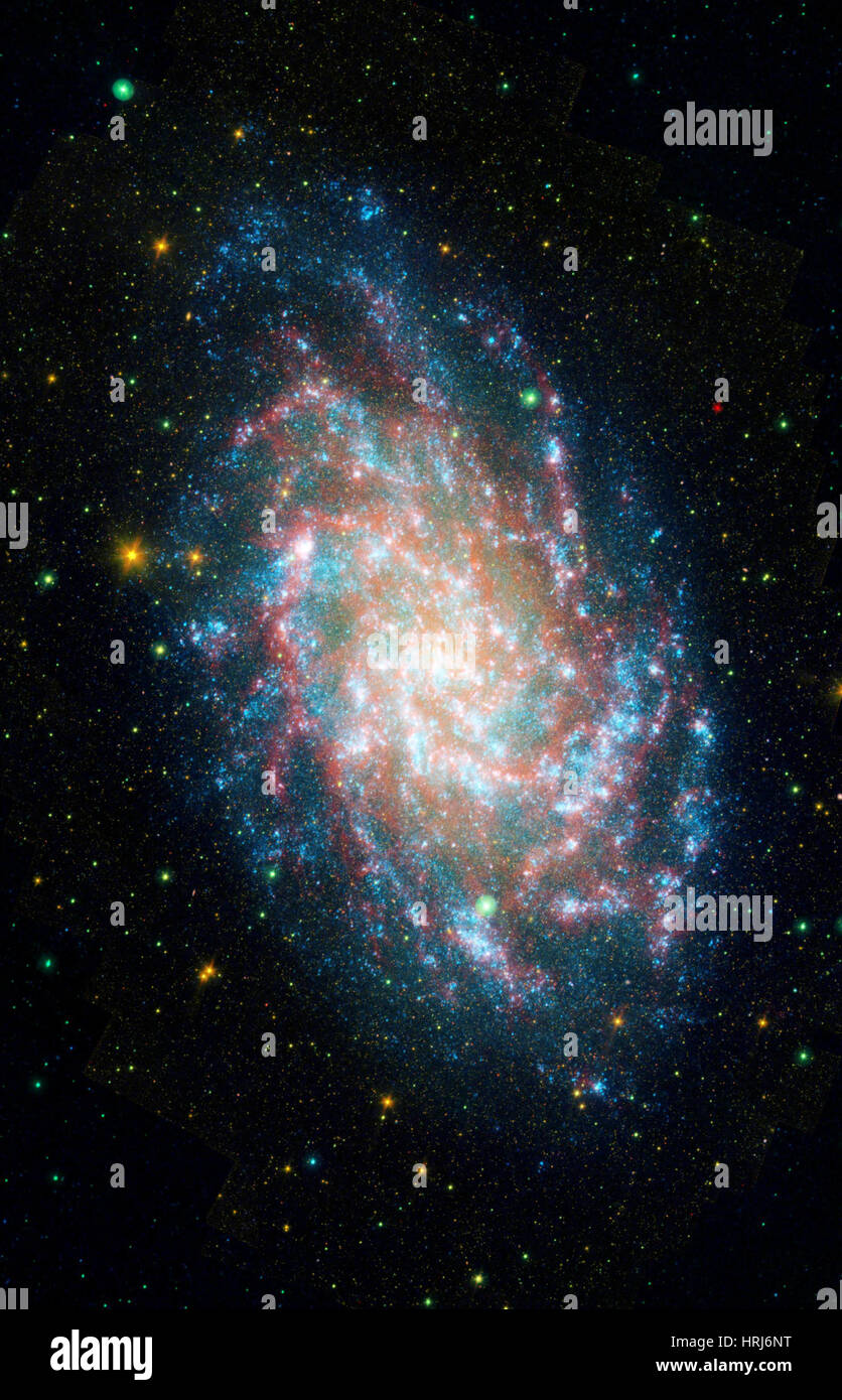 Unordentlicher 33 -Fotos und -Bildmaterial in hoher Auflösung – Alamy