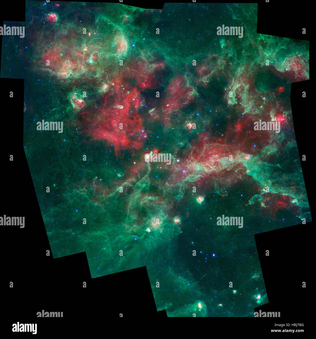 Stellar embryo -Fotos und -Bildmaterial in hoher Auflösung – Alamy