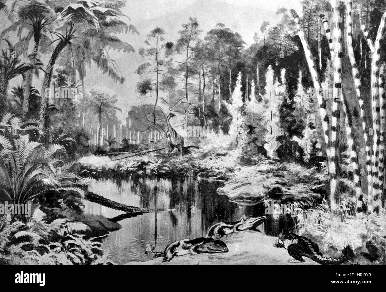 Triassic system -Fotos und -Bildmaterial in hoher Auflösung – Alamy