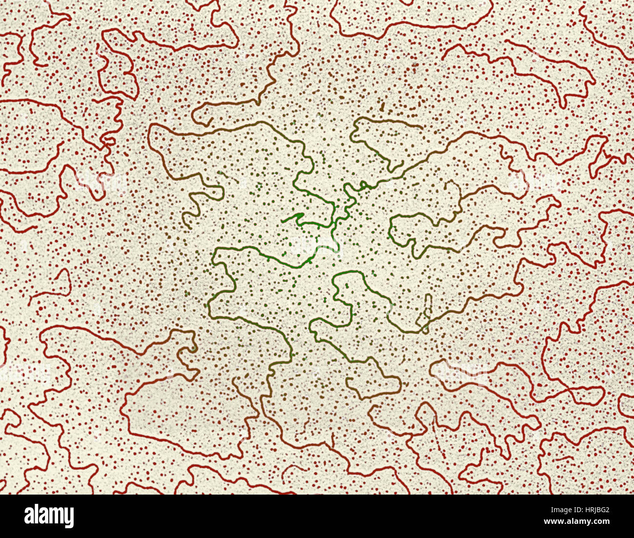 Tem dna -Fotos und -Bildmaterial in hoher Auflösung – Alamy