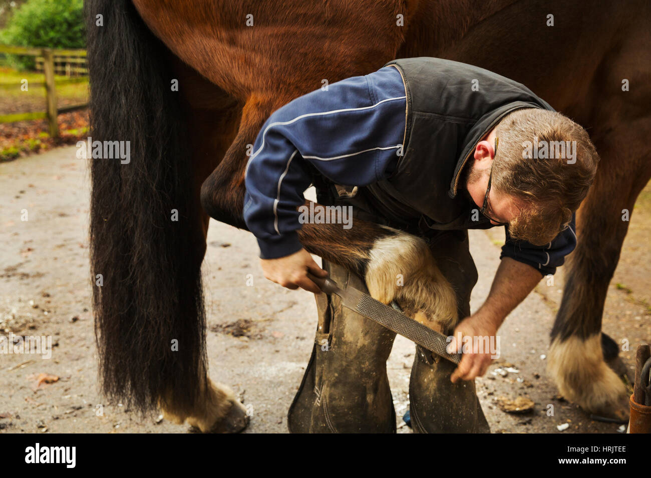 Mobile hufbeschlag -Fotos und -Bildmaterial in hoher Auflösung – Alamy