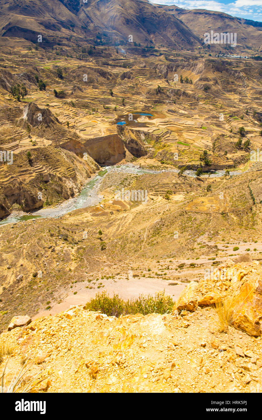 Colca Canyon, Peru, Südamerika. Inkas, Terrassenfelder mit Teich und ...