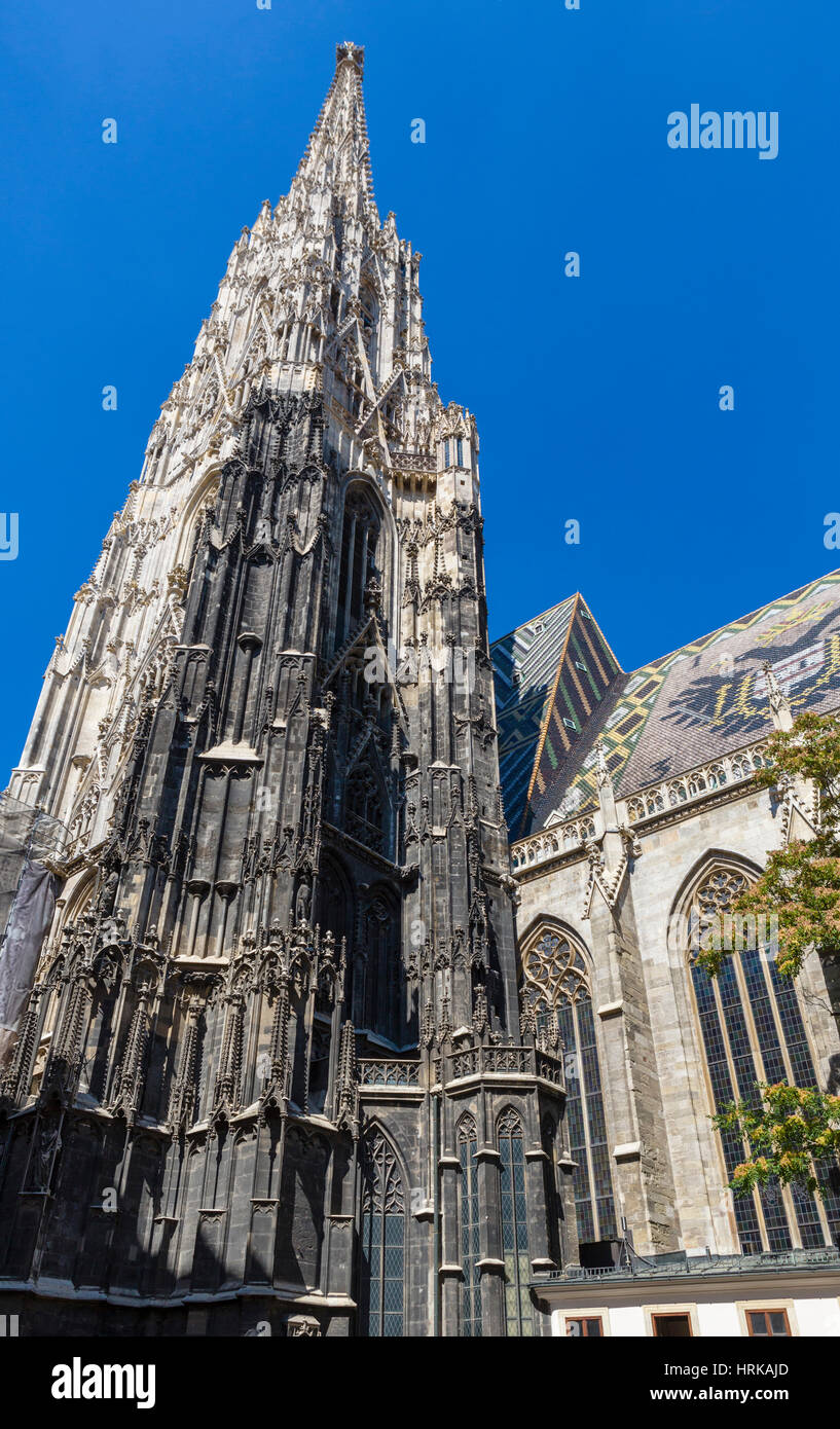 St stephansdom -Fotos und -Bildmaterial in hoher Auflösung – Alamy