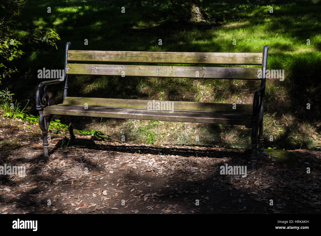 Sitzend sitzend holzbank park -Fotos und -Bildmaterial in hoher ...