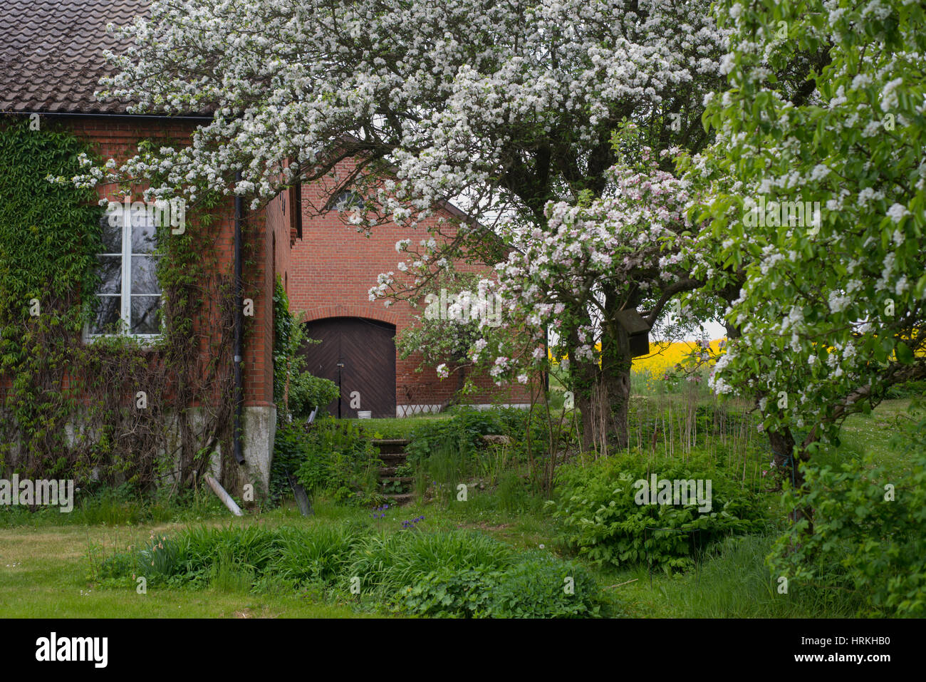 Skane bauernhaus -Fotos und -Bildmaterial in hoher Auflösung – Alamy