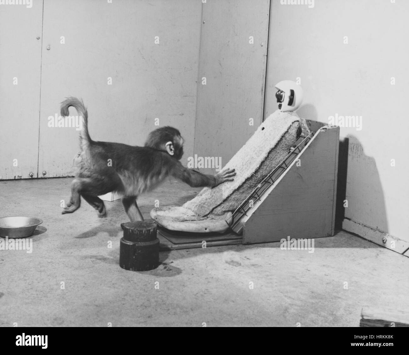 Harry harlow -Fotos und -Bildmaterial in hoher Auflösung – Alamy