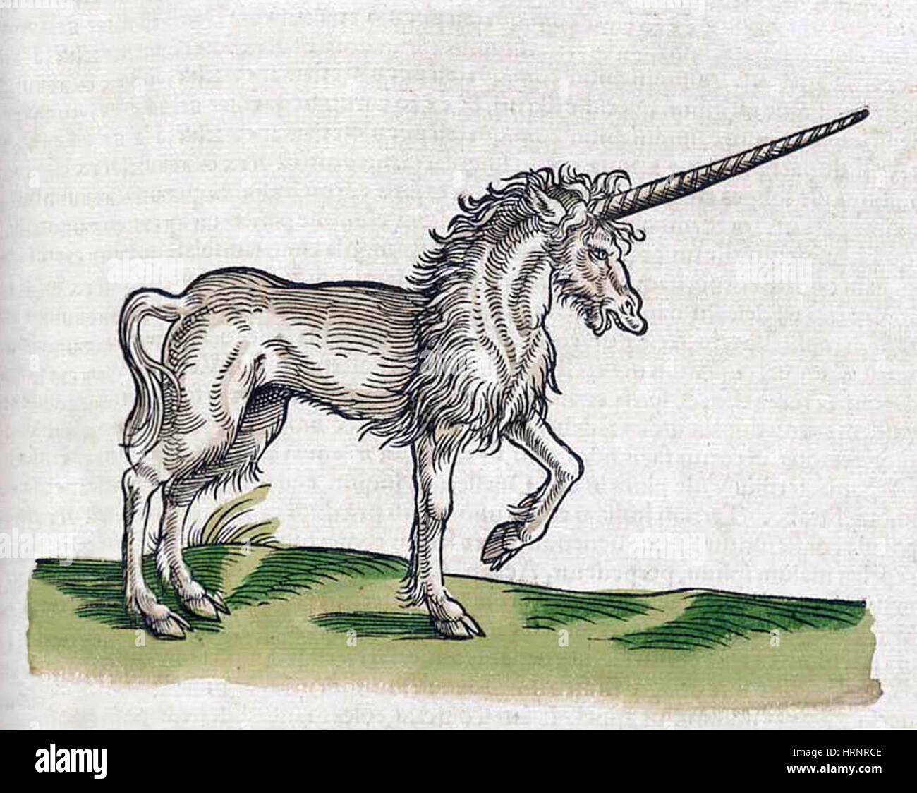 Einhorn mythos -Fotos und -Bildmaterial in hoher Auflösung – Alamy