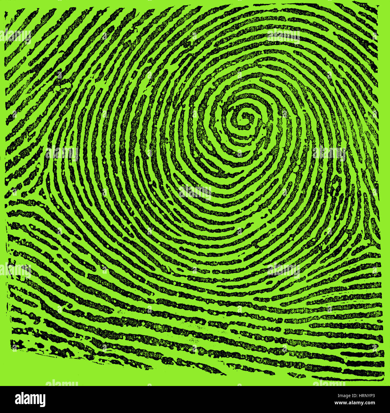 Fingerprint whorl -Fotos und -Bildmaterial in hoher Auflösung – Alamy