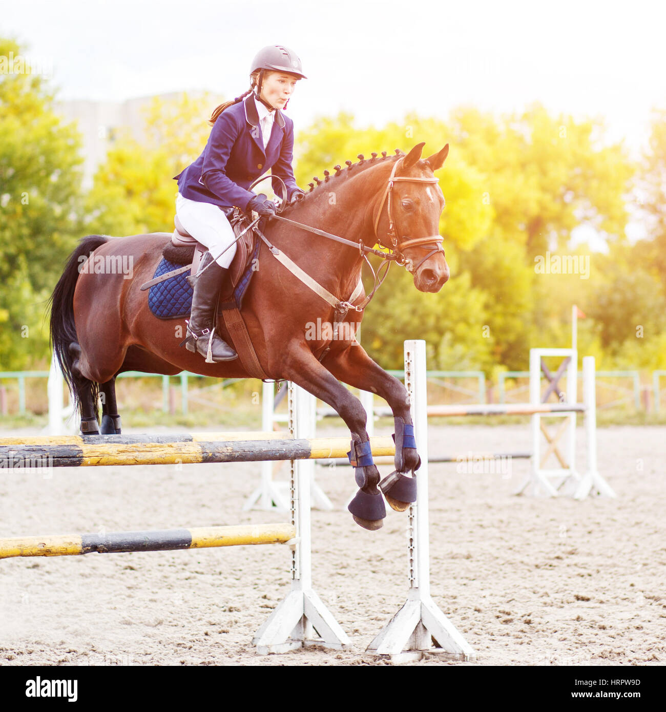 Bay oxer showjumping jump -Fotos und -Bildmaterial in hoher Auflösung ...