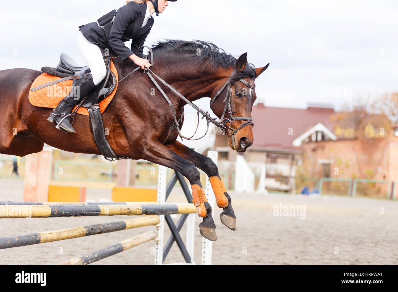Pferd und reiter springen -Fotos und -Bildmaterial in hoher Auflösung ...