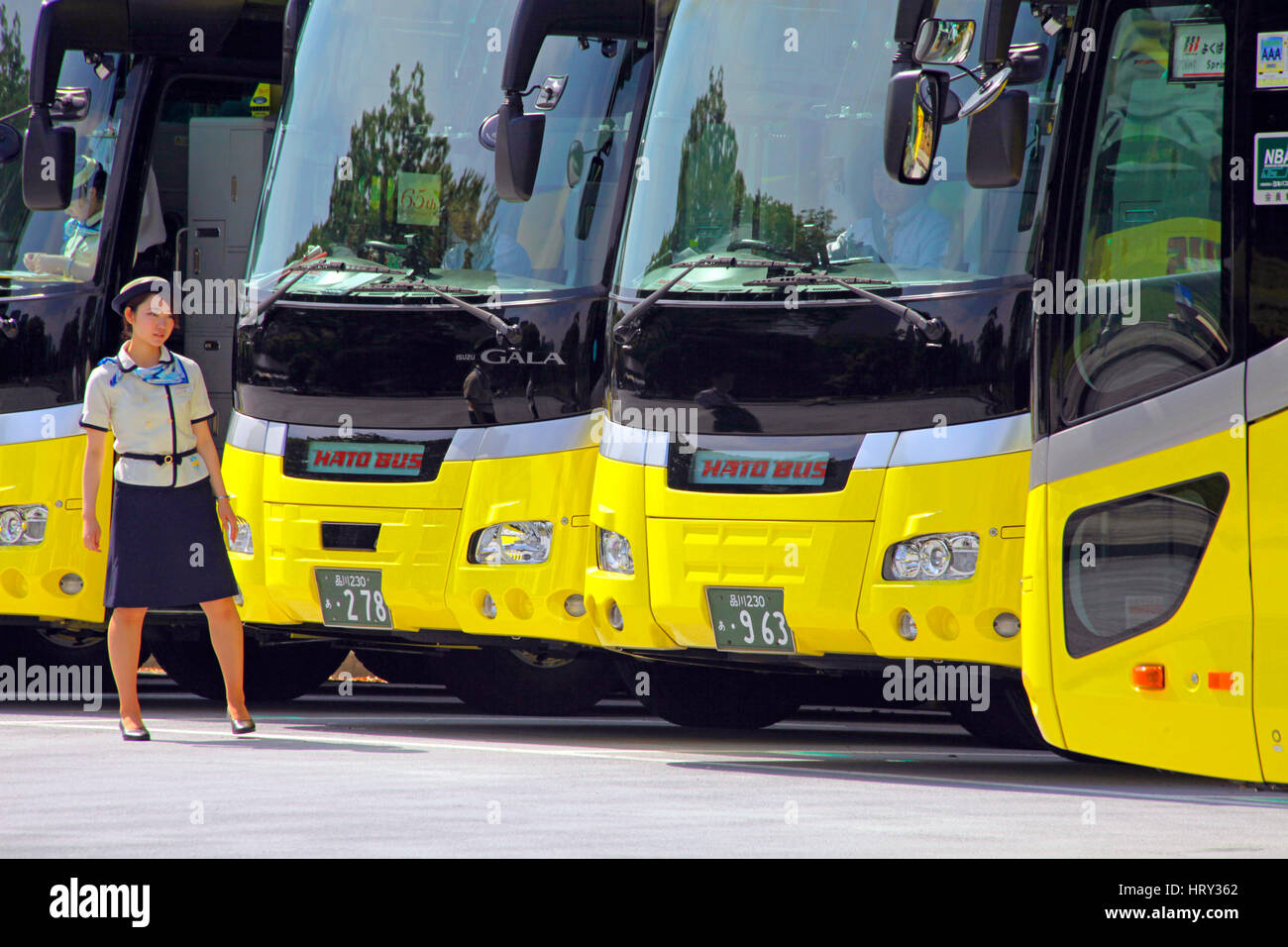 Hato bus -Fotos und -Bildmaterial in hoher Auflösung – Alamy