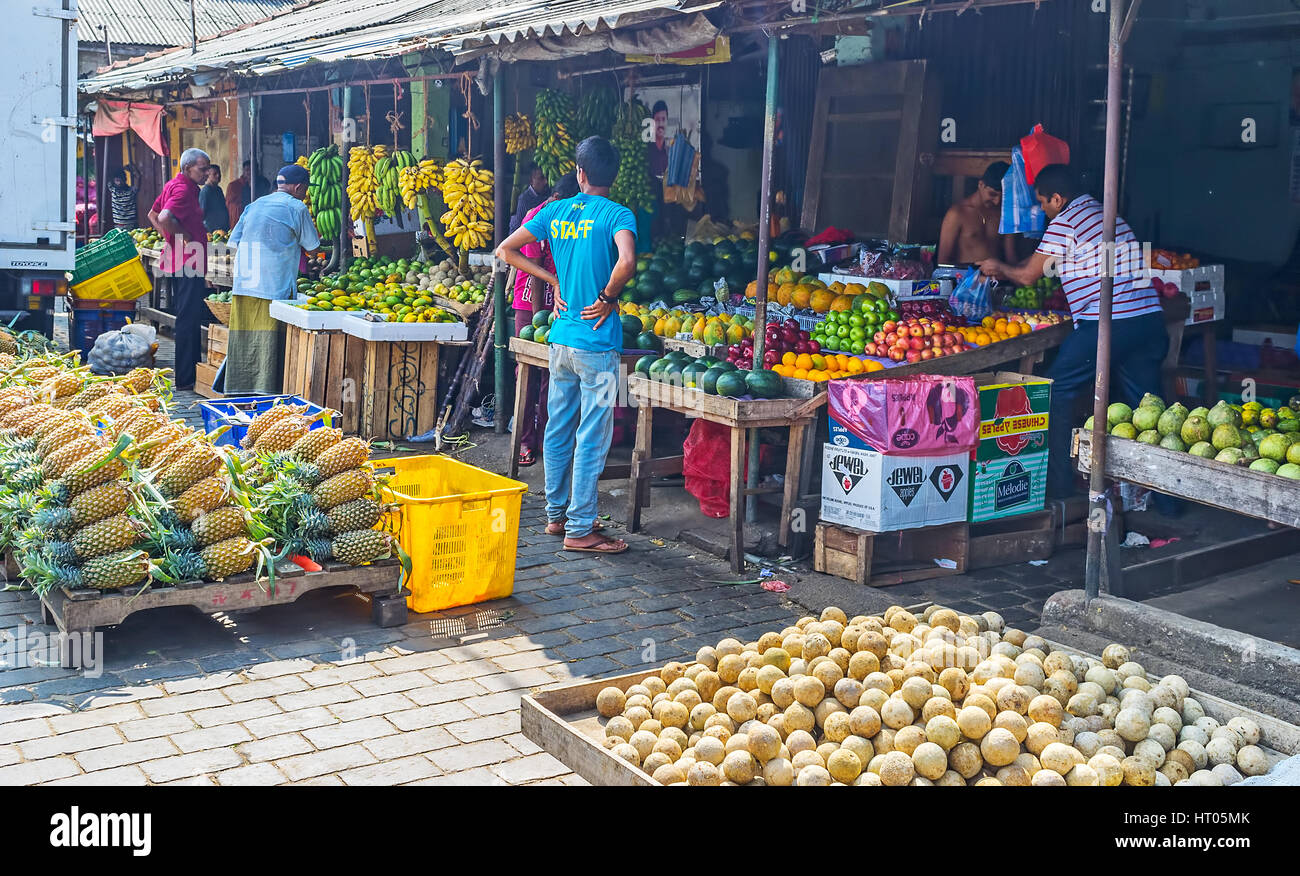 Sri lanka pineapple -Fotos und -Bildmaterial in hoher Auflösung - Seite ...