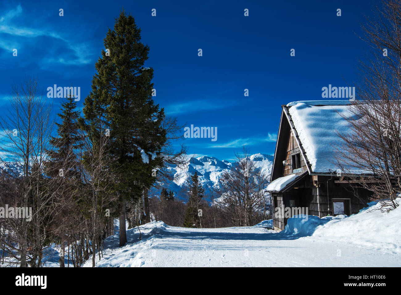 Cottage in winter forest -Fotos und -Bildmaterial in hoher Auflösung - Seite 2 - Alamy