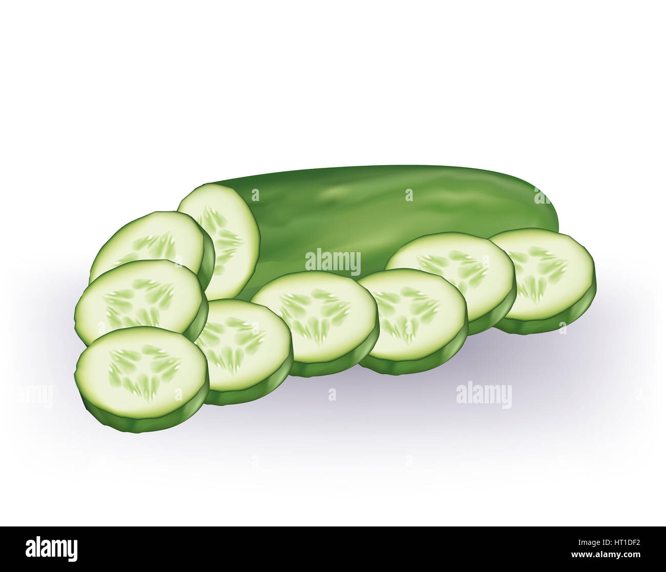 Illusration vector vectors -Fotos und -Bildmaterial in hoher Auflösung ...