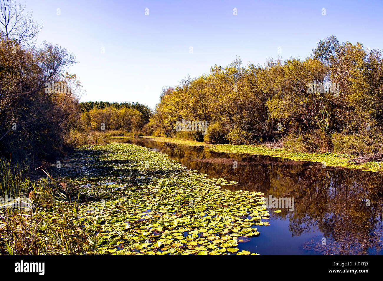 Sakarya turkey -Fotos und -Bildmaterial in hoher Auflösung – Alamy