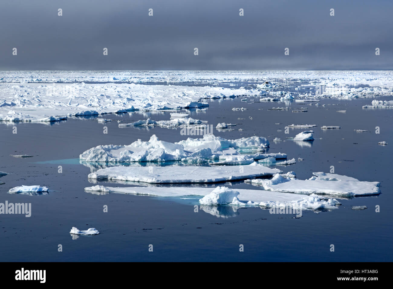 Eisschollen, Packeis, Arktischer Ozean, Spitzbergen, Norwegen ...