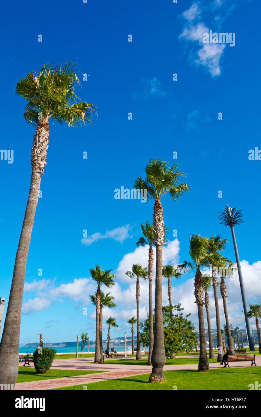 Jardins de la corniche -Fotos und -Bildmaterial in hoher Auflösung – Alamy