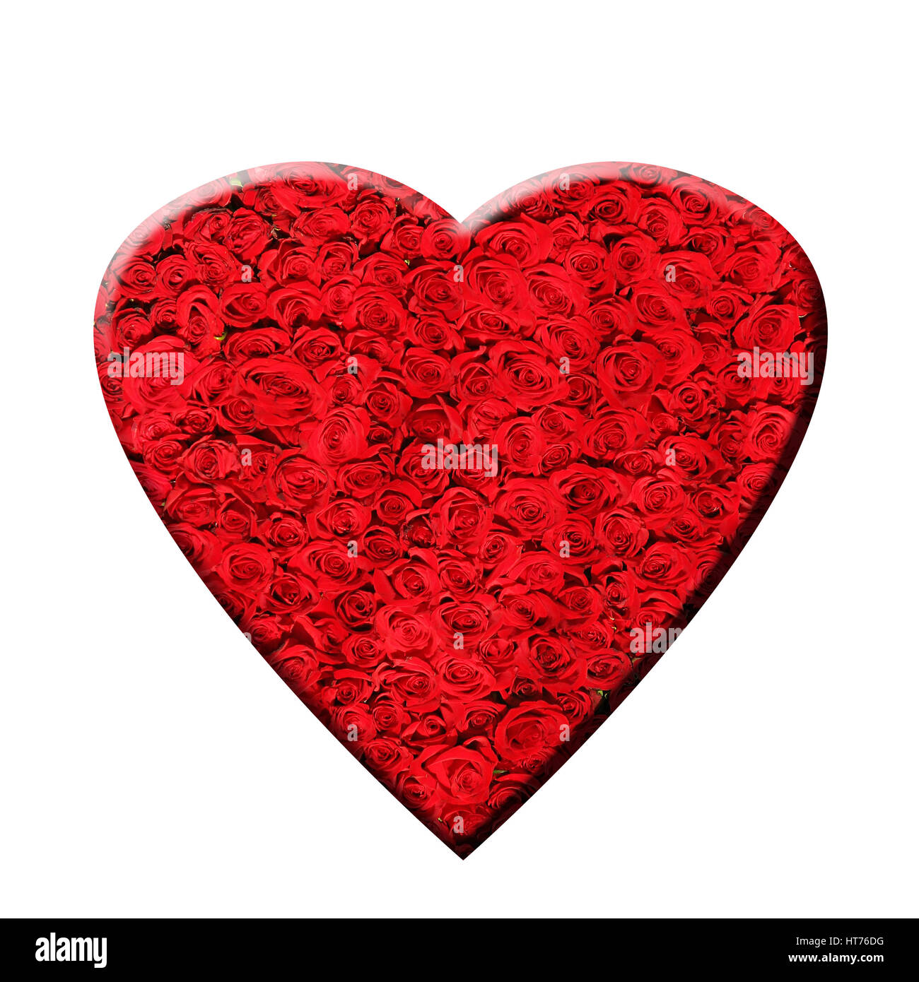 Liebe und rosen -Fotos und -Bildmaterial in hoher Auflösung – Alamy