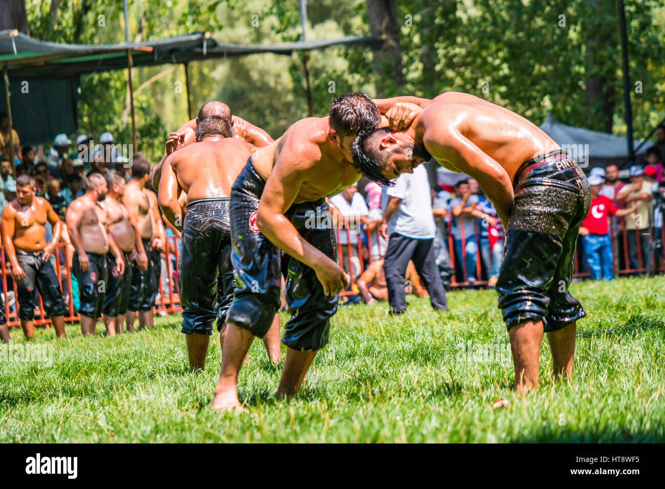 Turkish oil wrestling festival -Fotos und -Bildmaterial in hoher ...